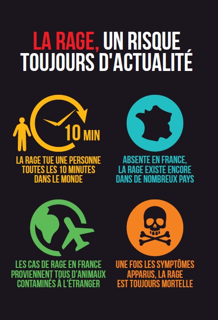 Attention à la rage | DRAAF Nouvelle-Aquitaine